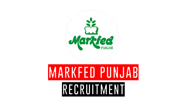 Markfed Punjab Recruitment 2025-Apply Online Job Vacancies November 2025